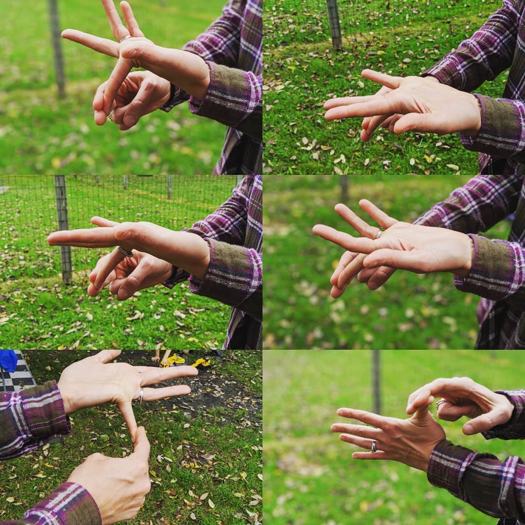 3 Stretches to Improve Hand Mobility While Driving - Mother Trucker Yoga