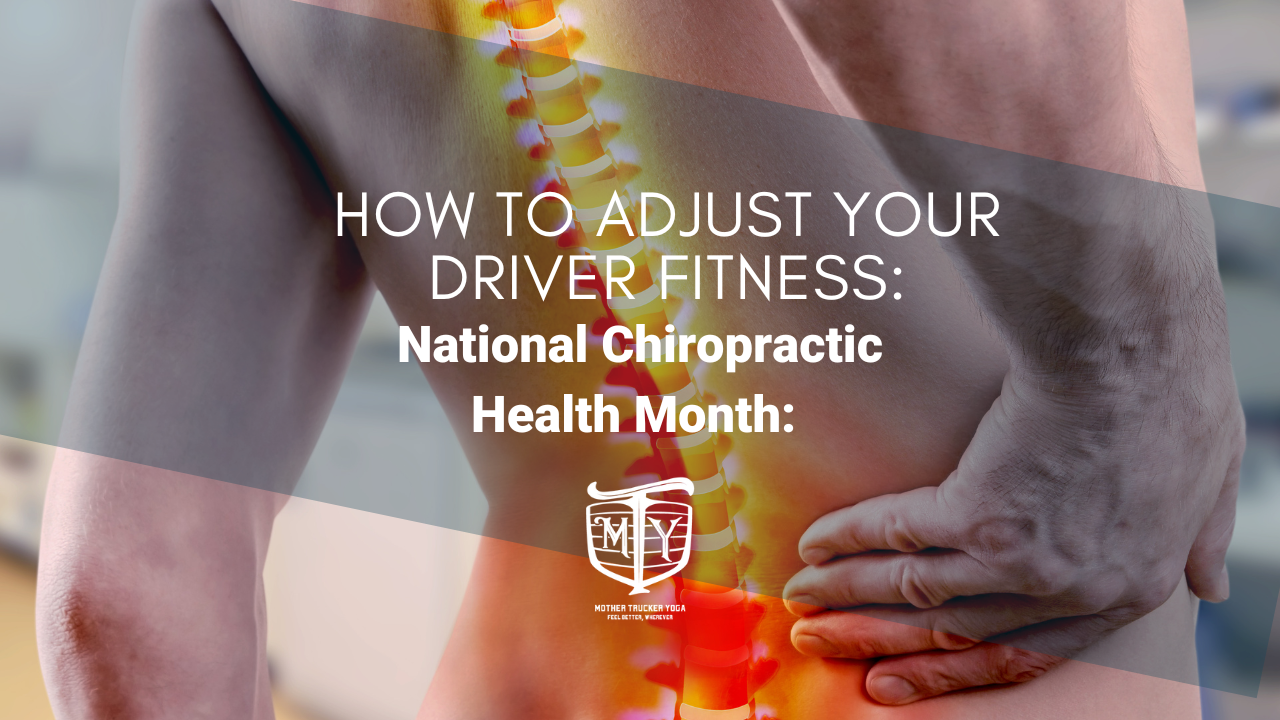 National Chiropractic Health Month: How to Adjust Your Driver Fitness ...